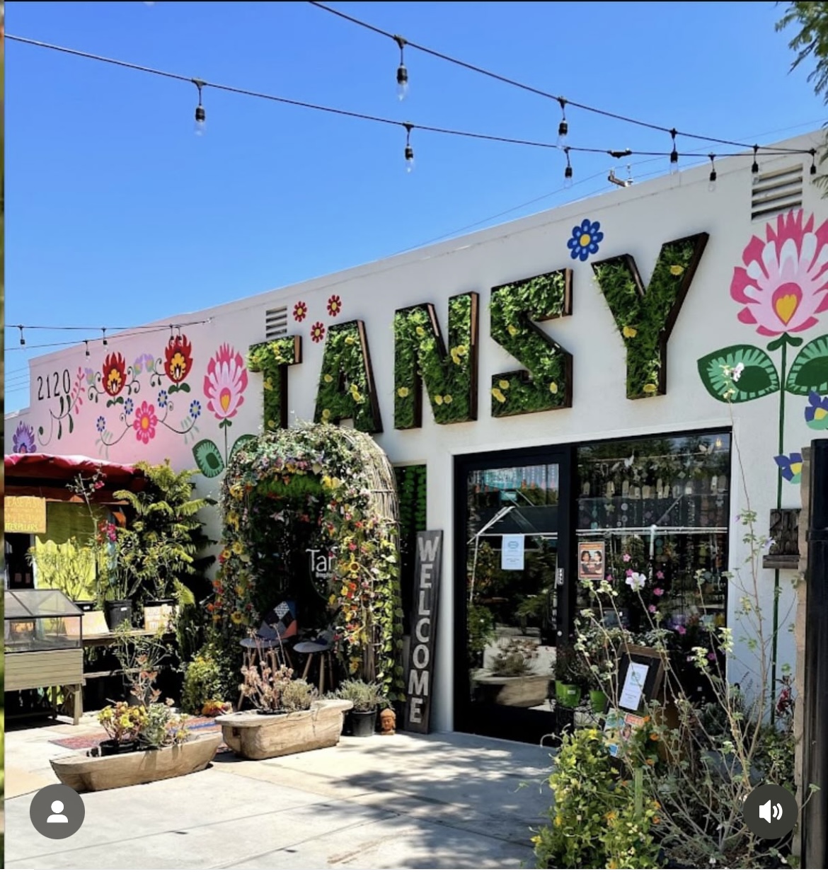 Pop-up Art Show at Tansy - California Creative Arts, Inc